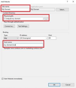 Как установить MS IIS и MS SQL Server на Windows Server