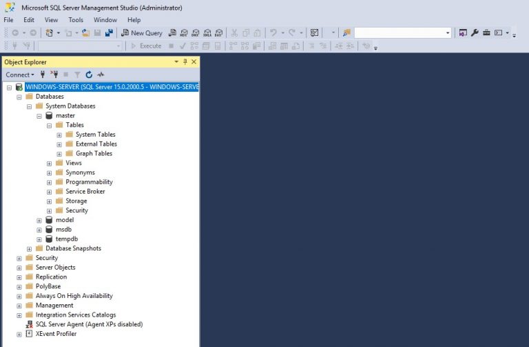 Как установить Ms Iis и Ms Sql Server на Windows Server