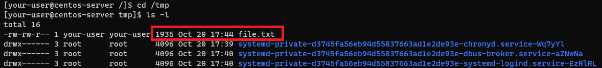 Как скопировать файлы на VPS, работающий на Linux
