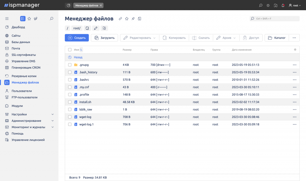 RUVDS ispmanager - Панель управления виртуальными серверами