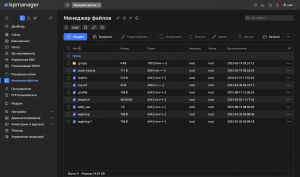 RUVDS ispmanager - Панель управления виртуальными серверами