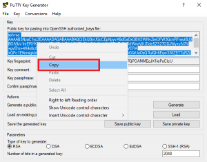 Как создать SSH-ключи с помощью PuTTY - Справочник RuVDS